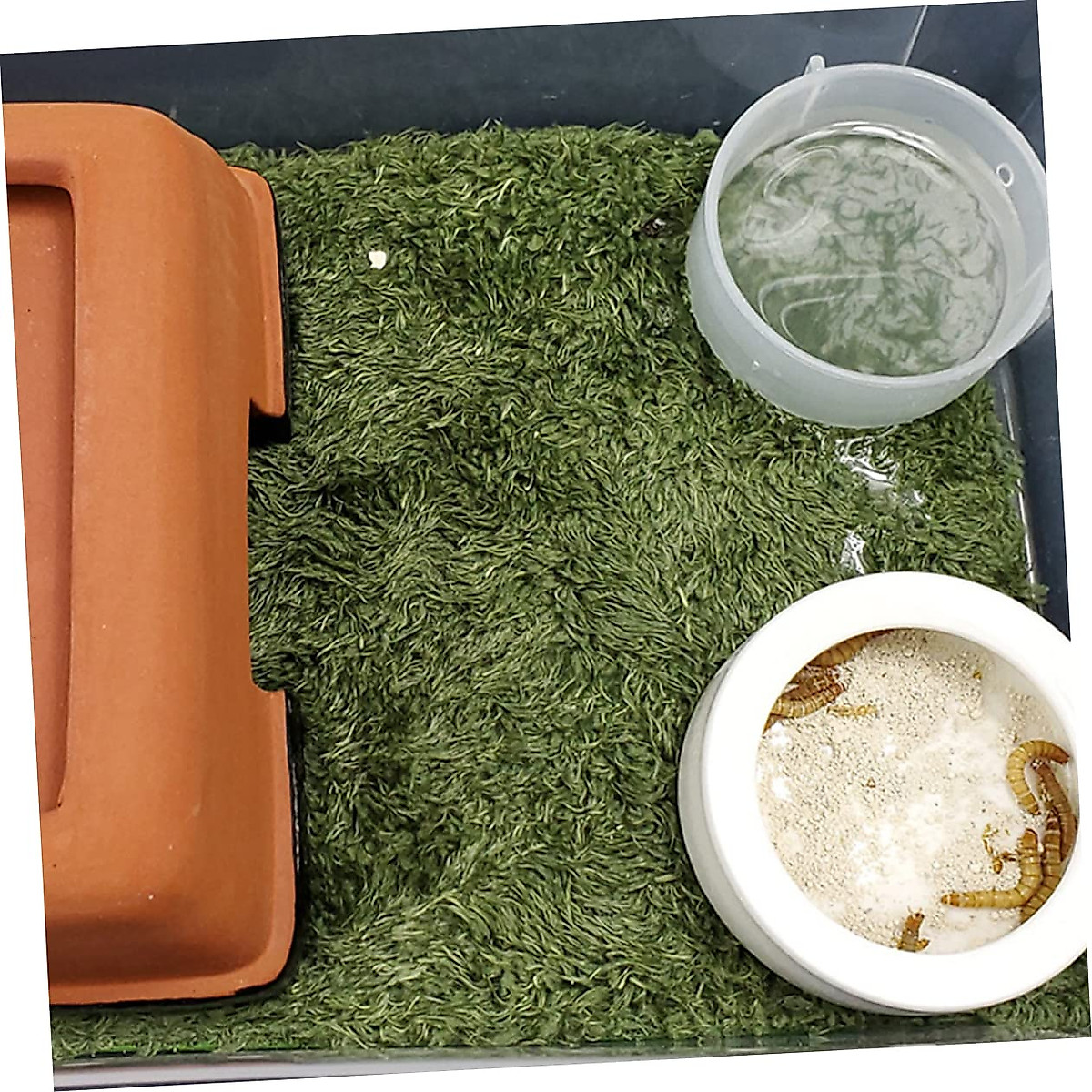 GANAZONO 2Pcs Climbing Pet Fake Lawn Terrarium Substrate Liner Reptile Bed Reptile Climbing Carpet Miniature Grass mat Amphipod Reptile Moss Carpets Horned Frog Cotton Absorbent pad