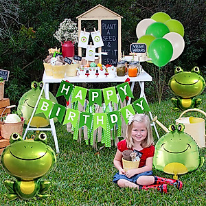LaVenty Frog Birthday Decoration Frog Balloon Frog Birthday Party Supplies Reptile Birthday Party Decorations Frog Princess Party Decoration Garden Birthday Decoration