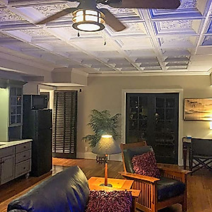 From Plain To Beautiful In Hours DCT03 British Sterling PVC 2' x 2' Lay-in Ceiling Tile, Pack of 25, Aged Copper, 25 Piece