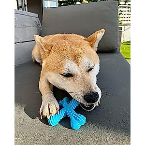 Nylabone Dog Toy Power Chew Dog Toy for Aggressive Chewers - X-Shape Dog Toy - Small - Up to 25 lbs.