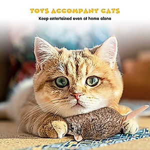 Catnip Toys for Indoor Cats, 12 Pack Crinkle Interactive Cat Toy, Cat Chew Toy for Aggressive Chewers Bite Resistant, Squeaky Catnip Cat Toys Rattle Plush Stuffed Pet Toys, Relieve Stress Kitten Toys