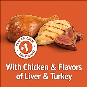 Purina Friskies Cat Treats, Party Mix Original Crunch - 20 oz. Pouch