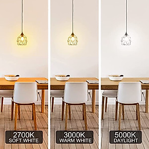 Energetic E12 Dimmable LED G16.5 Light Bulb 60 Watt Light Bulb 500 Lumens Candelabra Bulb for Chandeliers, Ceiling Fan, Vanity, Daylight 5000K Vintage Globe Light Bulb 6Pack