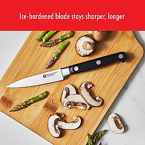 ZWILLING Professional S 5-Piece Razor-Sharp German Studio Block Knife Set, Made in Company-Owned German Factory with Special Formula Steel perfected for almost 300 Years, Dishwasher Safe