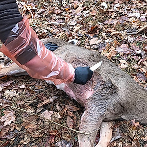 Guardian Hunting Deer Gutting Gloves Field Dressing Gloves with Long and Short Gut Glove Combo Pack (Black/Orange, 3 Pack (6 Pairs))