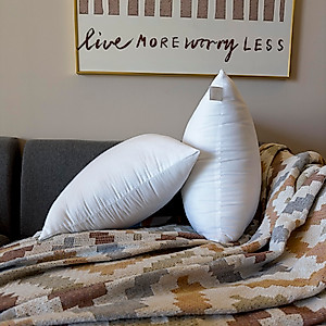 QSWRD 20 x 20 Outdoor Pillow Inserts Pack of 4 Large Throw Pillow Inserts Waterproof Patio Furniture Pillows Decorative Porch Couch Pillows Premium White Square Sofa Cushion Sham Stuffer