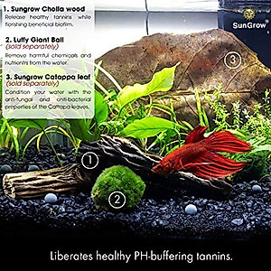 SunGrow Cholla Wood for Betta Fish, 5-Inches Long, Encourage Exercise, Create Basking Spot for Tropical Fish, Creative Addition to Home Crafts, Great Accent Piece, 3-Pcs