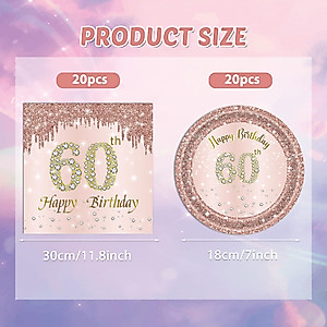 60th Birthday Decor 60th Birthday Decorations for Women Rose Gold Birthday supplies Plates and Napkins Rose Gold 1964 Birthday Decorations Disposable Tableware Party Supplies For Women