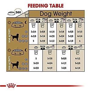 Royal Canin Labrador Retriever Adult Dry Dog Food, 30 lb bag