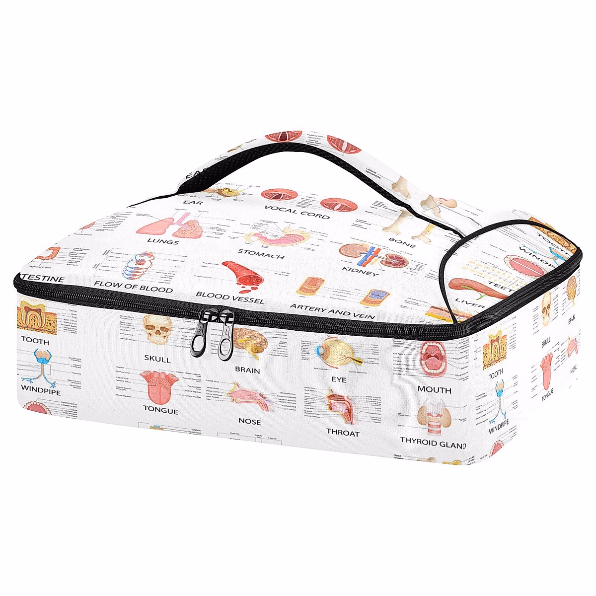 Diagram of Different Human Organs on White Background Reusable Insulated Pizza Bag, Waterproof Food Delivery Bag, with Handle Lid Leakproof Pizza Holder Tote for Hot or Cold Food
