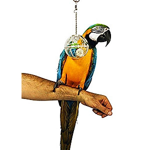 Birds LOVE 3" Hanging Clear Foraging Plastic Perforated Ball Unscrews, Put Bird Treats Inside, Comes w Vine Balls Inside, Bird Cage Medium to Large Bird Toy