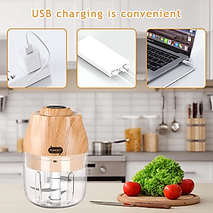Electric Mini Chopper Food Processor, TOPESCT Portable Garlic Grinder, Cordless Small Food Chopper with USB Charging for Ginger Onion Chili Vegetables (250 ml)