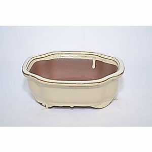 Bonsai Ceramic Pot 7", Hexagon Shape, Beige Color, Glazed with draining Holes.