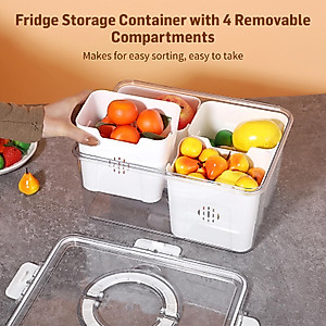 Lnrueg Airtight Fresh Produce Containers for Fridge - 4 Compartments with Handle, Berry Containers for Fridge, BPA-Free Fresh Produce Saver & Refrigerator Organizer Bins