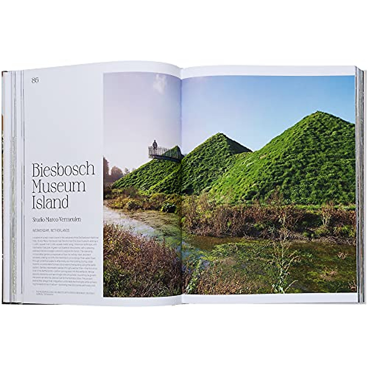 Evergreen Architecture: Overgrown Buldings and Greener Living