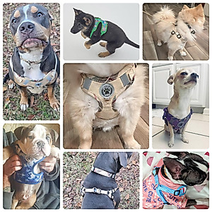 BEAUTYZOO Step in Dog Harness Collar and Leash Set for Small Medium Large Dogs, No Pull No Choke Puppy Harness, Soft Mesh Reflective Pet Padded Vest Adjustable for Doggie Girl or Boy,French Bulldog