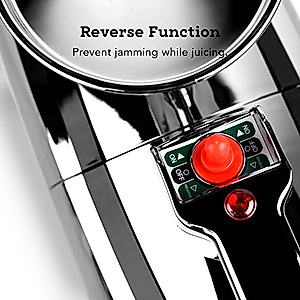 Tribest Greenstar GSE-5050 Elite Slow Masticating Juicer, Twin Gear Cold Press Juicer & Juice Extractor, Chrome