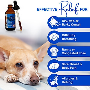Dog Cough Treatment - Kennel Cough Treatment - Dog Allergy Relief - Itch Relief - Wet & Dry Cough Suppressant - for Dogs & Cats - XanderPets USA 1200 Drops