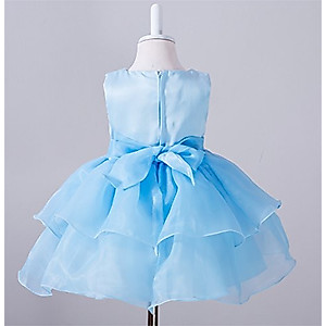 Girl Dress Kids Ruffles Lace Party Wedding Dresses Embroidered One Year Old Size 12-18M Baby Girls Cake Layer Ball Gown Sky Blue Birthday Graduation Tulle Special Occasion Tops Infant Light (Blue L)