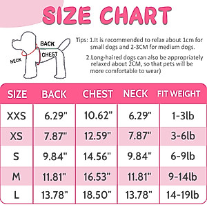 2 Pieces Puppy Sweater Dog Sweater for Small Girl Dogs Girl Dog Clothes Winter Warm Fleece Chihuahua Clothes Cute Style Dog Clothes Thick Pet Clothing (X-Small)