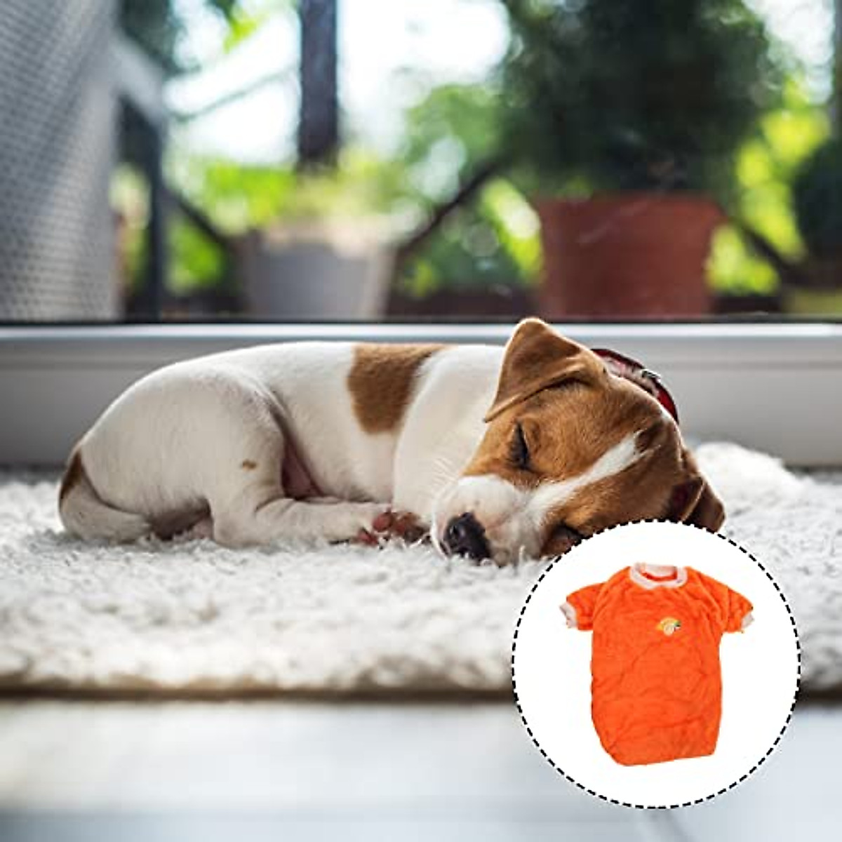 GLSTOY Decorative Outfits Autumn Warm Pattern Winter Stretchy Shirts Sweater Clothes Dogs Cold and Outdoor Clothes: Pet Cloth M Legged Thickening Two Fruit Clothing, Comfortable