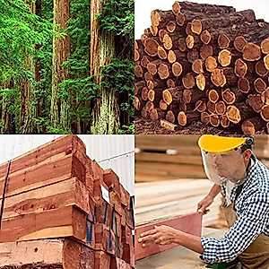 Homode Cedar Blocks, Cedar Hang Ups for Clothes Storage, Cedar Sachets for for Closets and Drawers, Fresh Scent Ceder Wood, 18 Pack