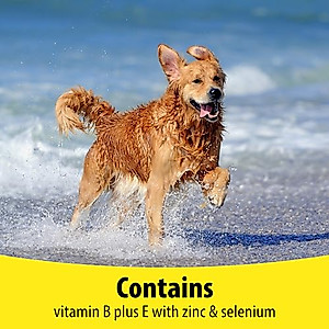 Vetzyme Dog B + E 200 Tablets