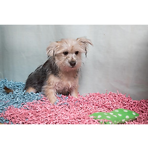 ECO BEDDING 99% Dust Free Paper Bedding for Small Pets and Birds, Pink, 30 L