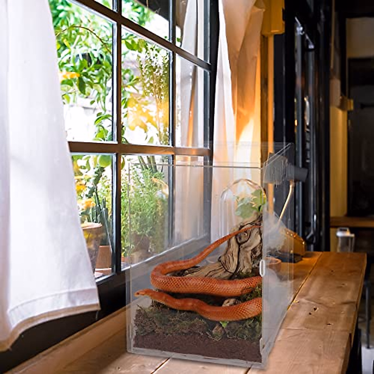 winemana Reptile Terrarium Aquarium Breeding Tank, 14.5" x 10.5" x 10" Acrylic Tarantula Enclosure Feeding Box Insect Habitat for Tarantula Spider Snake Lizard Hermit Crab Insect