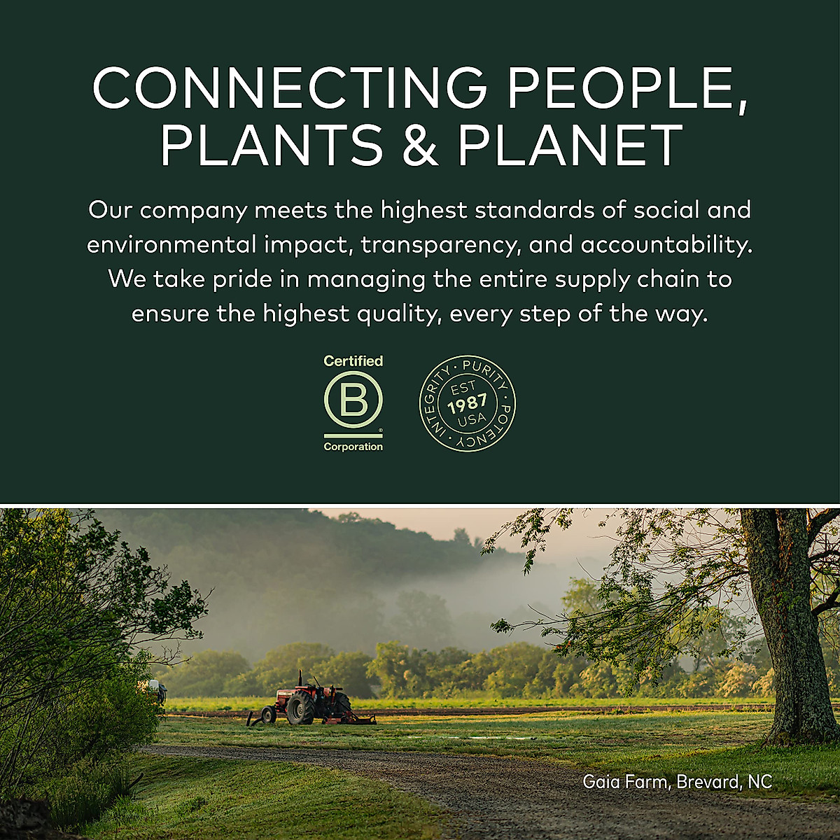 Gaia Herbs Maca Root - Caffeine-Free Natural Energy Supplement - Supports and Maintains Healthy Energy and Stamina - Made with Organic Maca Root (Lepidium meyenii) - 60 Vegan Capsules (30-Day Supply)