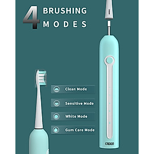 CRKIOB Electric Toothbrush for Adults Ultrasonic Rechargeable Power Toothbrushes One Charge for 180 Days Use with 2 Brush Heads and Holder Electric Toothbrushes (Green)