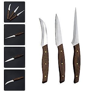 Hemoton Vegetable Fruit Carving Knife DIY: Professional Chef Knife Food Fruit Paring Knife Kitchen Tool Utensils 1 Set