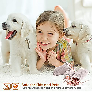 Homode Cedar Blocks for Clothes Storage, Scent Sachets for Drawers and Closets, Aromatic Cedar Wood Chips Shavings Bags, Cedarwood Hanger Rings, Pack of 10