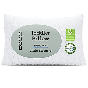 Coop Home Goods Toddler Pillow for Sleeping and Travel - Premium Small Memory Foam Baby Pillow for Kids with Lulltra Washable Pillowcase - Crib & Bed - CertiPUR-US/GREENGUARD Gold Certified (19x13)