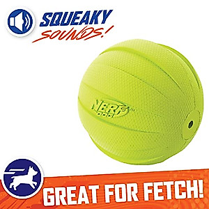 Nerf Dog Rubber Ball Dog Toy with Squeaker, Lightweight, Durable and Water Resistant, 4 Inch Diameter for Medium/Large Breeds, Single Unit, Green
