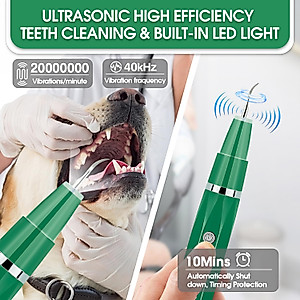 ofikpaloe Dog Teeth Cleaning Kit with Pet Oral Spray, Dog Dental Care-Plaque Remover for Teeth, Cleans and Relieves Tooth Sensitivity, Universal for Dogs & Cats, Dark Green