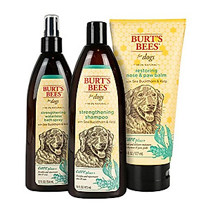 Burt's Bees for Dogs Care Plus+ Natural Sea Buckthorn & Kelp Restoring Nose & Paw Lotion | Heals & Moisturizes Dog Noses and Paws | pH Balanced for Dogs - Made in USA, 6 Oz Bottle of Lotion