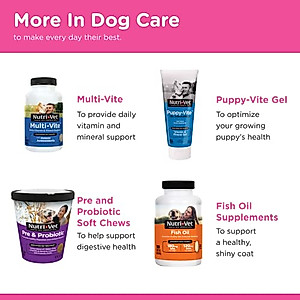 Nutri-Vet Allerg-Eze Chewables for Dogs - Formulated Antioxidants and Omega-3 Acids - Supports Respiratory and Skin Health - 60 Chewables