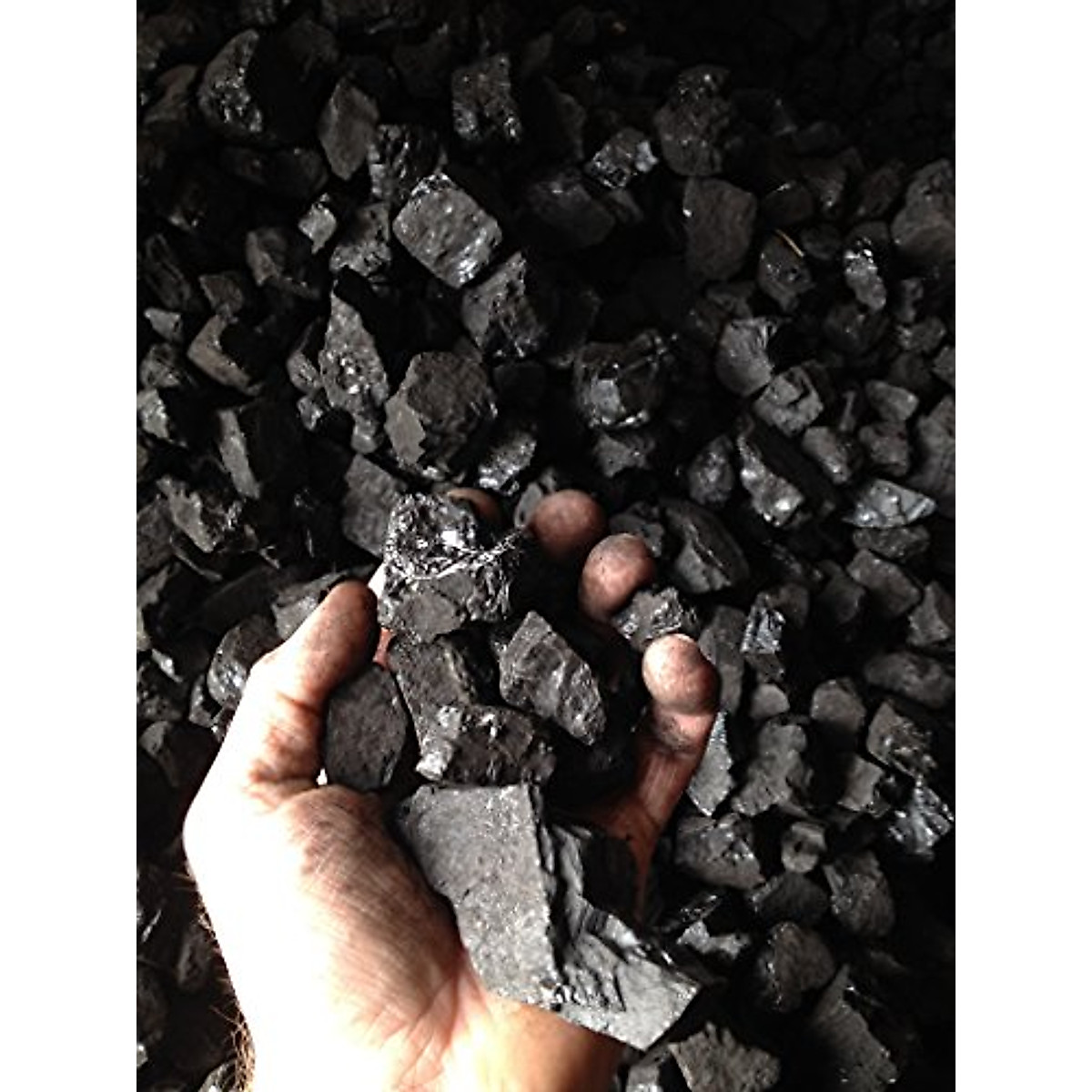 Bituminous Coal 50lbs