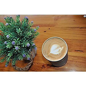 TUCUSA Original Portable Drink Mixer│Milk Frother Handheld │Hand Blender│Electric Whisk for Home & Kitchen │Milkshake Maker│Frother for Coffee, Chocolate, Cappuccino, Latte, Matcha. (CREAM)