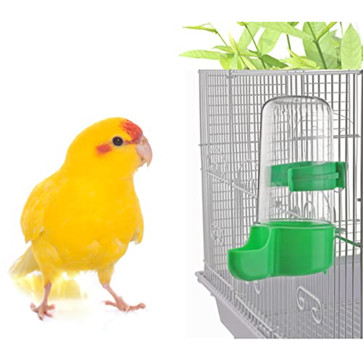 Automatic Bird Feeder Waterer Drinker Pet Bird Feeding Supplies for Bird Cage Feeder Water Seed Dispenser Bottle Drinking Cup