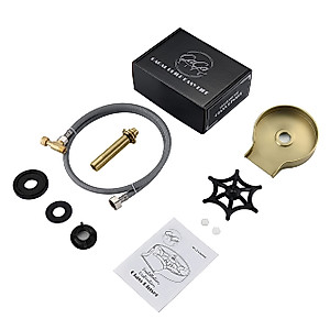 GAGALIFE Glass Rinser for Kitchen Sink, Cup Washer for Bar Sink, G86066BG (Brushed Gold)