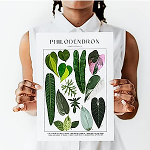 Buy 3 Get 1 Offer - Set of 4 UNFRAMED Plant Poster - Botanical Wall Art - Plant Stuff - Green Wall Art - Plant Wall Art - Plant Art Wall Prints - Plant Prints - Plant Pictures Wall Art - 8x10" (FOLIA)