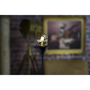 Xtricity Vintage G25 LED Globe Light Bulbs, Dimmable, Amber Glass, 5W (40W Replacement), 2200K Soft White, 350 Lumens, E26 Globe Bulb, 120V (2 Pack)