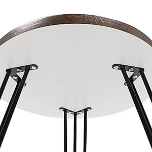 PaNeTnya 2-Tier Small End Table,Round Sofa Side Table with Storage Shelf and Metal Frame,Nightstand Bedside Table for Home Living Room Bedroom