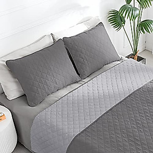 Easy-Going Full/Queen Size Reversible Quilt Set with 1 Quilt and 2 Pillow Shams, Soft Bed Quilt Cover, Lightweight Microfiber Bedspread, Water and Stain Resistant, Gray/Light Gray