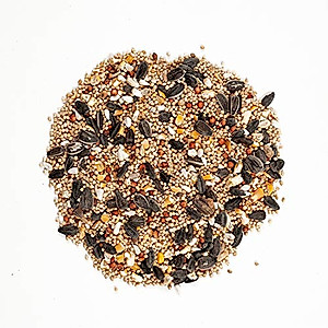 Wagner's 62004 Eastern Regional Wild Bird Food, 20-Pound Bag