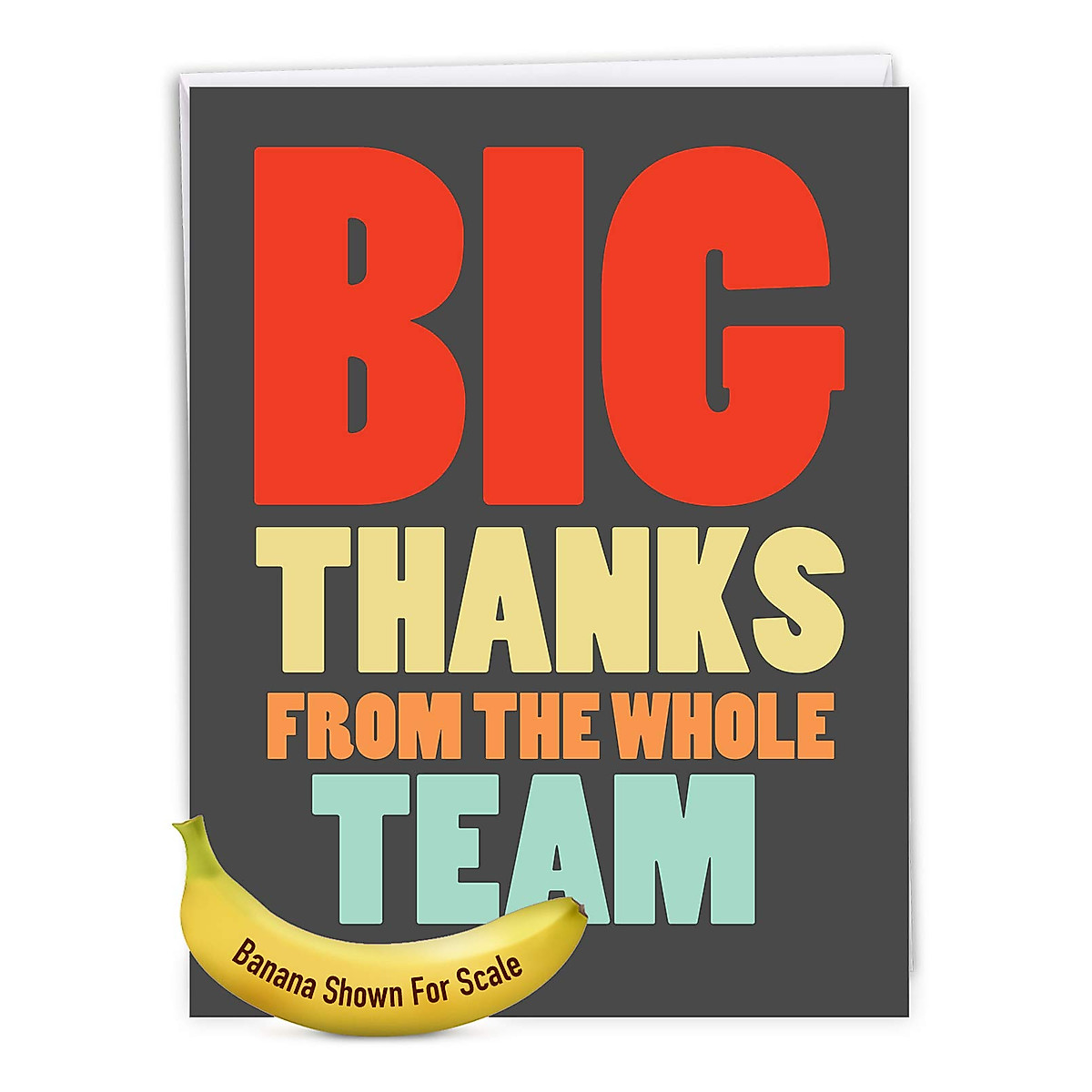 NobleWorks - Coach Thank You Greeting Card with Envelope Group, Coworker, Gang (Big 8.5 x 11 Inch) Big Thanks From The TeamJ6884TYG-US
