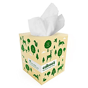 Caboo Tree Free Bamboo Facial Tissue Paper, Eco Friendly Hypoallergenic Tissue Box with 60 Sheets Per Cube, Total of 6 Cubes, 360 Total Tissues