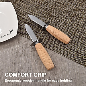 HILAZA 10Pcs Oyster Knife, Oyster Shucking Knife Bulk, Oyster Shucker, Oyster Opener Tool